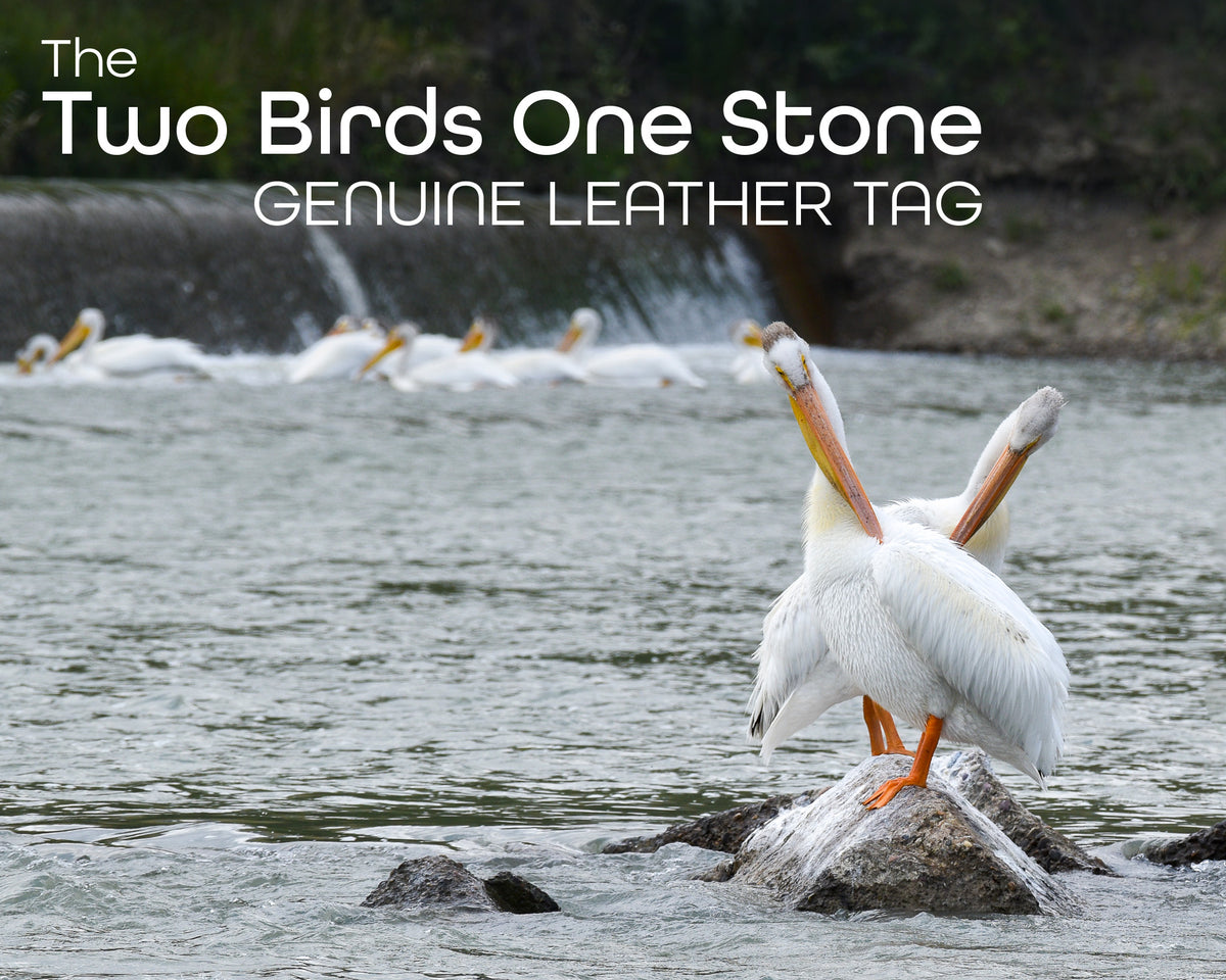 TWO BIRDS, ONE STONE – Lockwood & Webb Designs